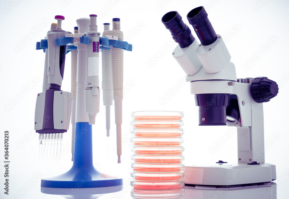 microscope, petri dishes and pipette stand by microbiological ...