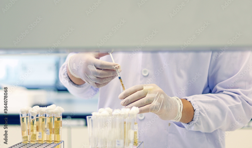 Scientist transfer sample using syringe, Most Probable number (MPN ...