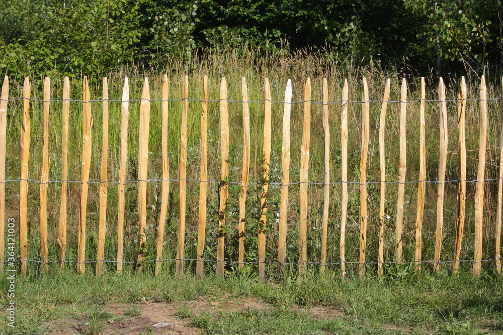 clôture en piquets de bois naturels Stock Photo | Adobe Stock
