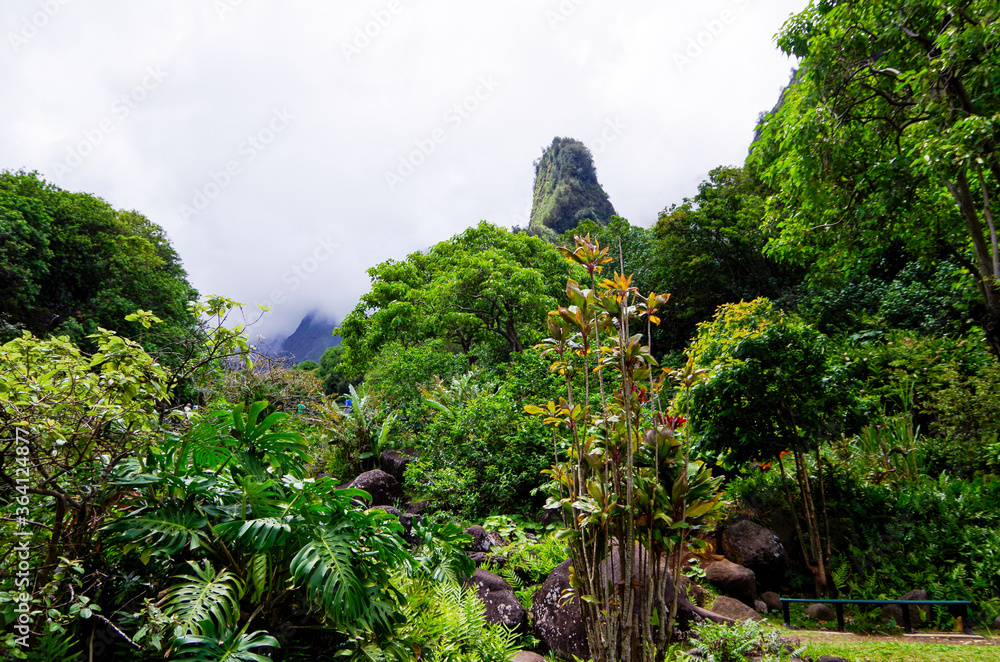 Iao Needle is a landmark rock ledge inside Iao Valley State Park with ...