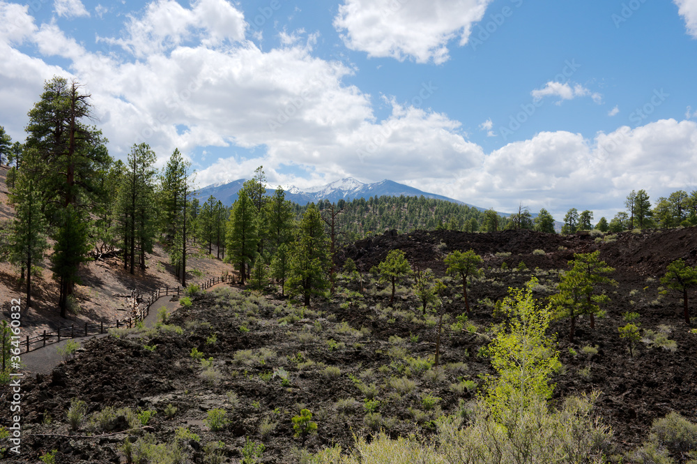The Bonito Lava Fields at Sunset Crater Volcano National Monument. In ...