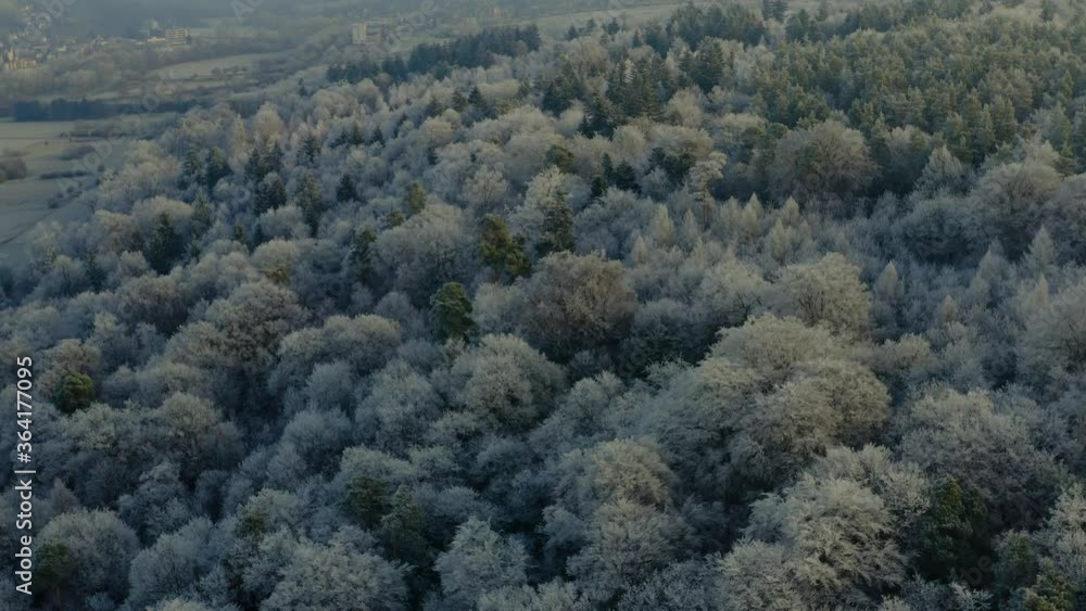 Flying over frozen trees in the black forest on a sunny morning in ...