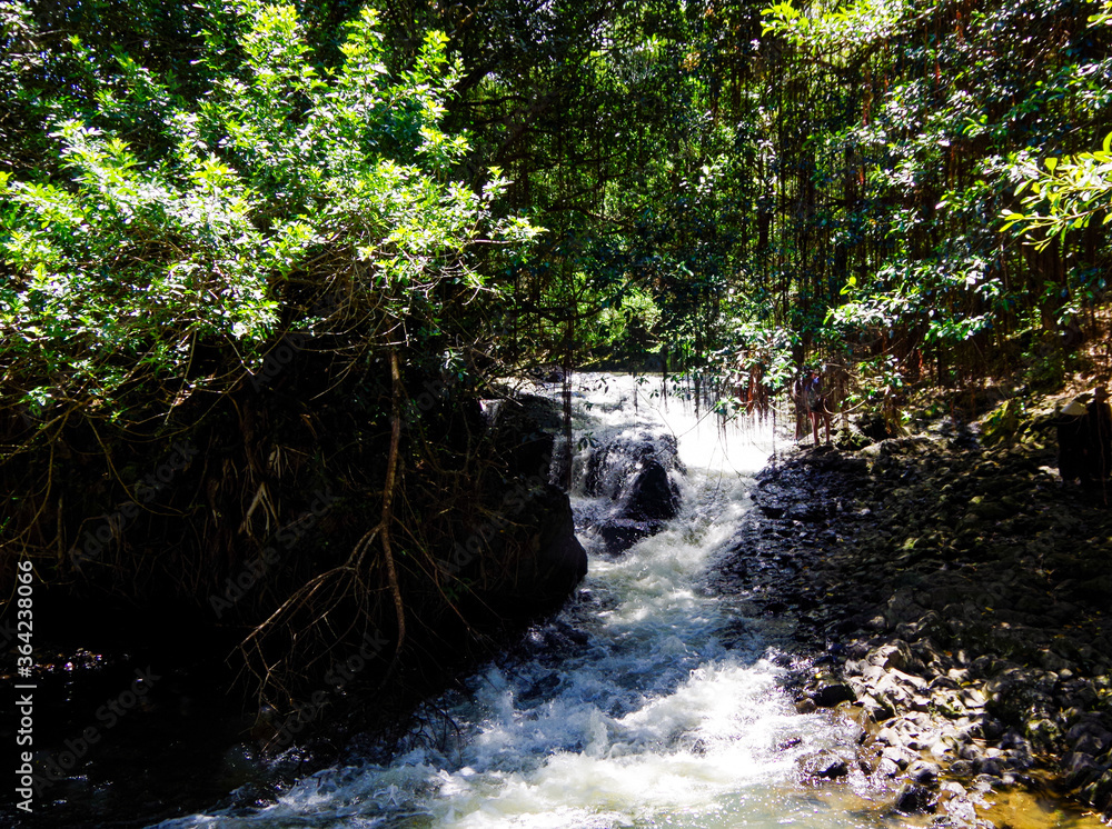 Beautiful tropical paradise rainforest landscape and nature with Twin ...