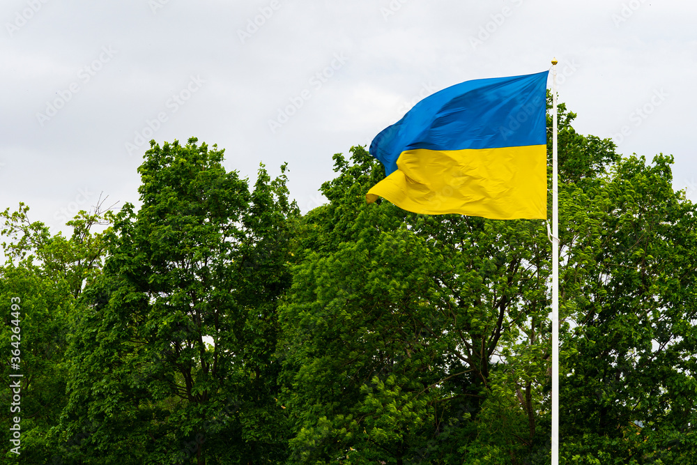 Ukrainian flag on the background of gray sky and the trees. Stock Photo ...