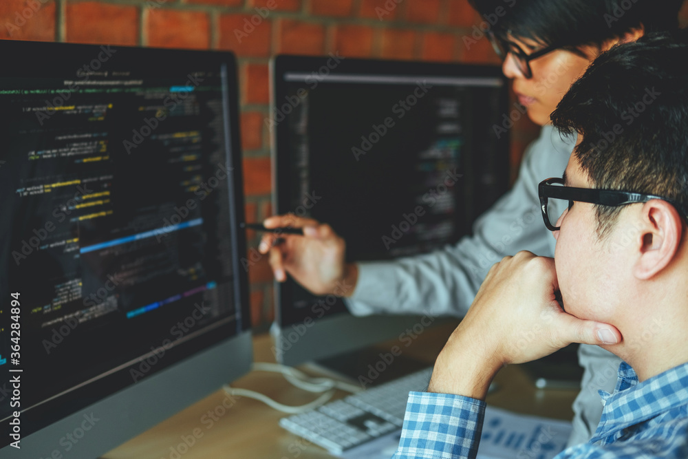 Developing programmer Team Development Website design and coding ...