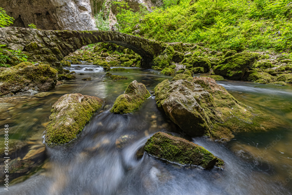 Rak river flowing under the bridge through the cave in Rakov kocjan ...