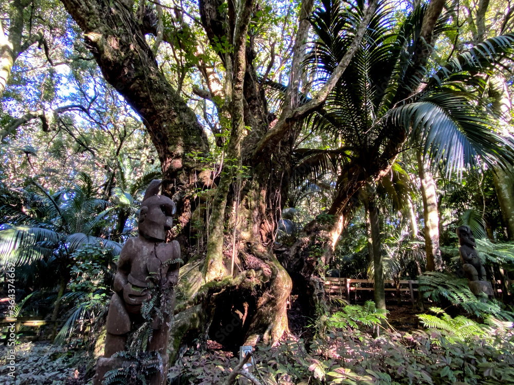Hukutaia Domain ranks as one of Opotiki's main attractions. It is a 5 ...