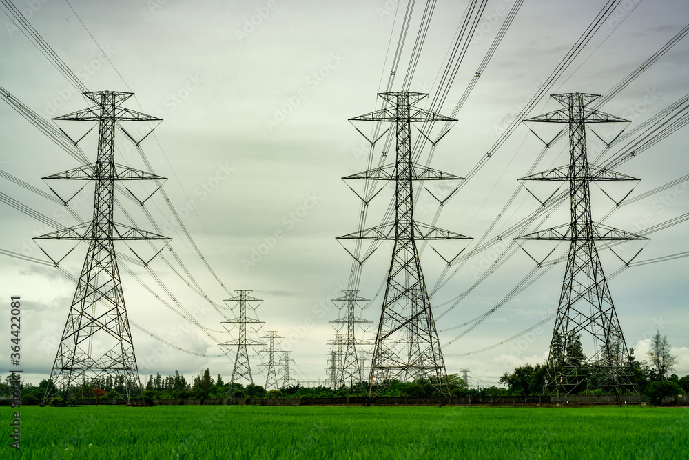High voltage electric pylon and electrical wire at green rice field and ...