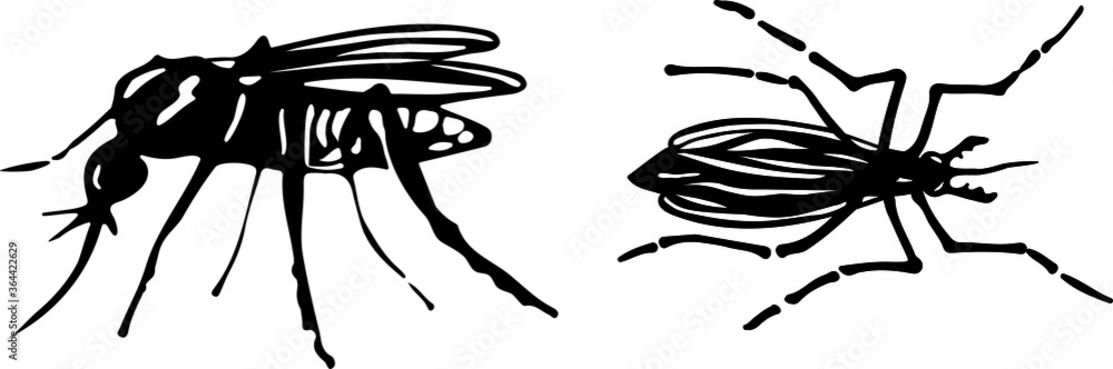Mosquito. Hand drawn sketch of mosquitoes. Vector drawing of Insects ...