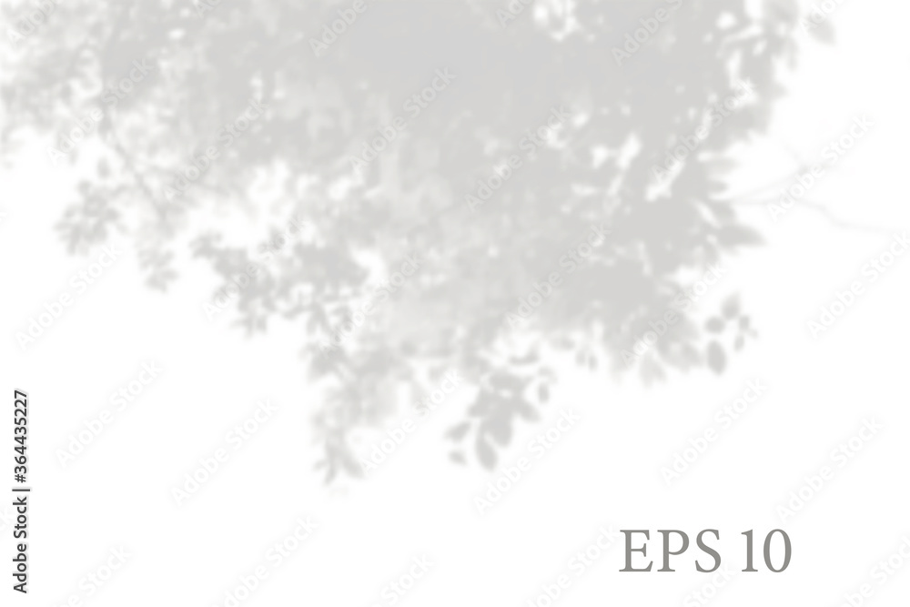 Transparent natural tree branches shadow. Light effect overlay. Mesh ...