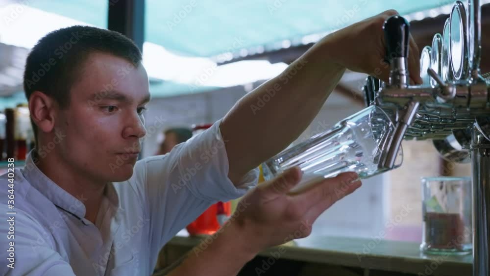 cool drink, pretty male bartender pours fresh foamy cold draft beer ...