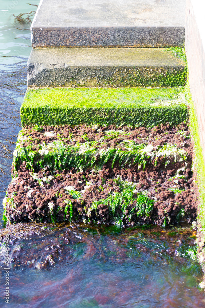 Interesting city detail in Venice, Italy. The small stone stairs of a ...