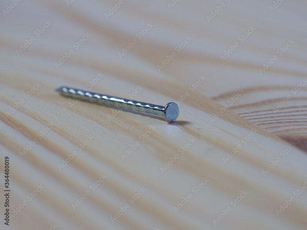 shutterstock Stock Photo | Adobe Stock