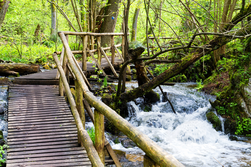Szumy na Tanwi (Cascades on Tanew River) Roztocze (Roztochia ...
