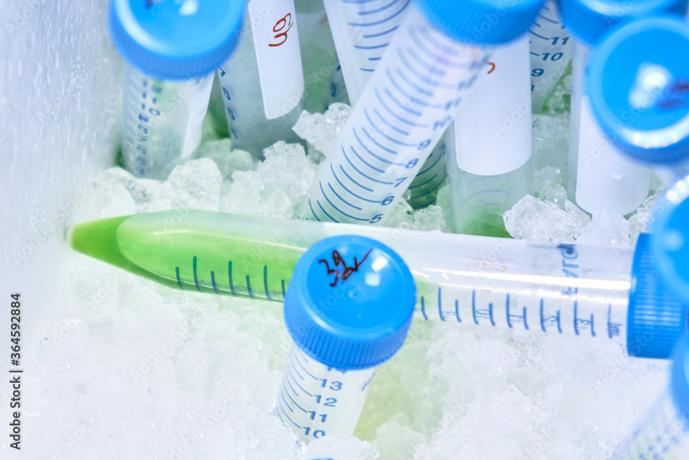 Plastic falcone test tubes with green liquid keep in the ice. Sample ...