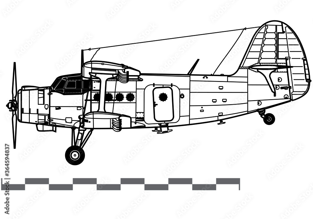 Antonov An-2 Colt. Vector drawing of military transport and utility ...