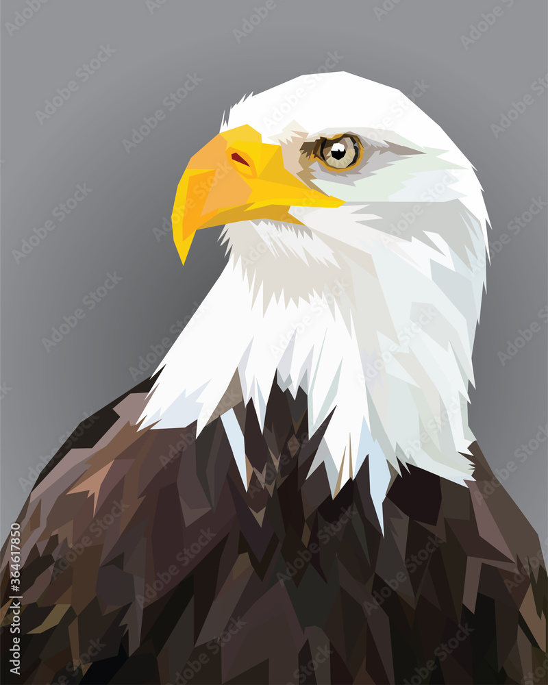 falcon bird with a sharp eye, drawn with Pop Art style, illustration ...