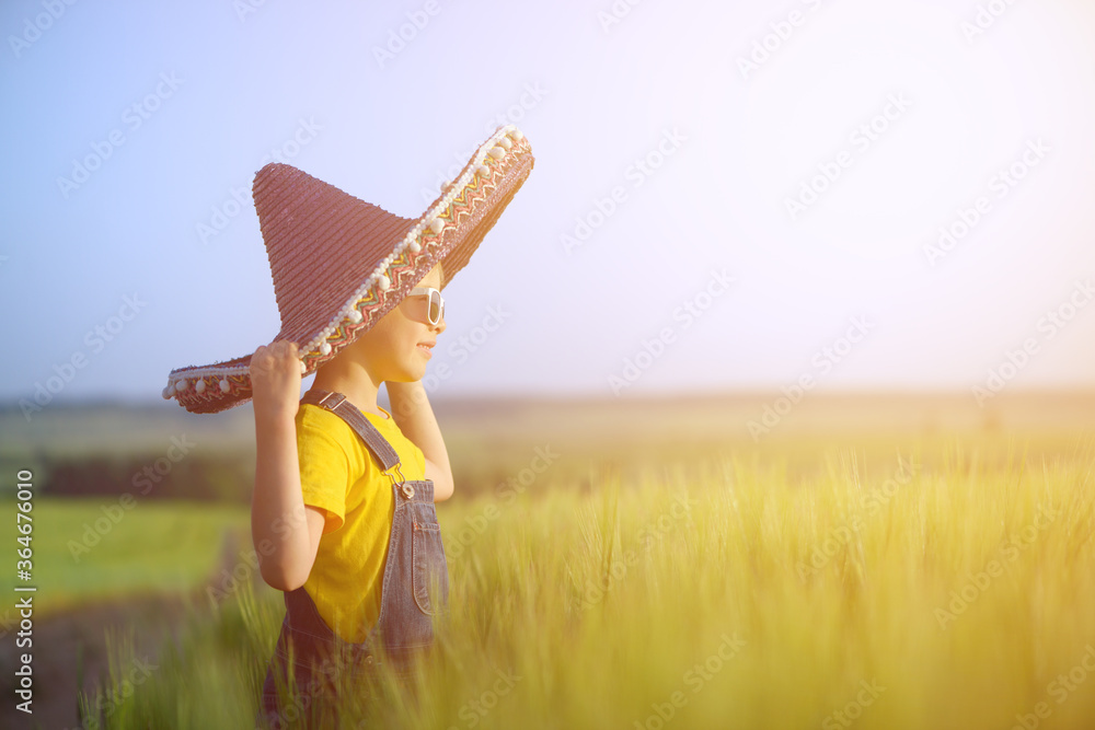 Boy farmer in a sombrero on the field of green cereal. Side view. The ...
