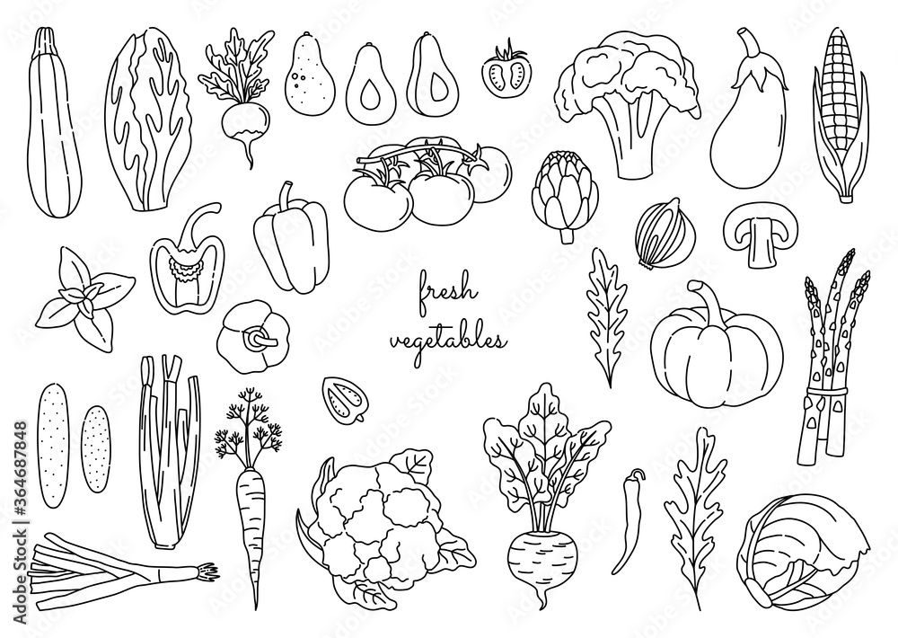 Set of outline vegetables on white background in doodle style. Bundle ...