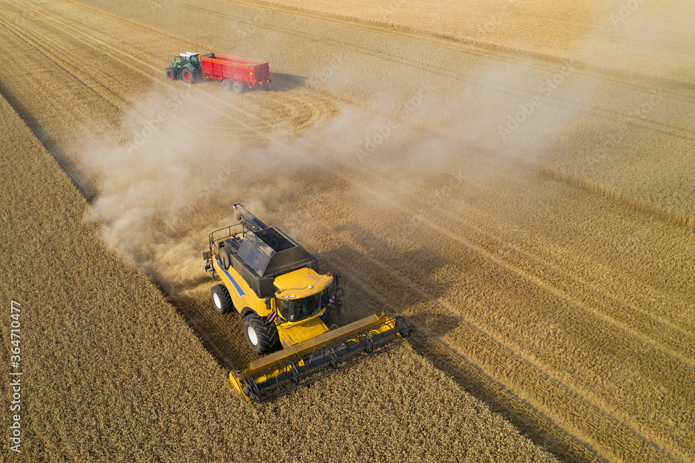 Moisson de blé en vue aérienne Stock Photo | Adobe Stock
