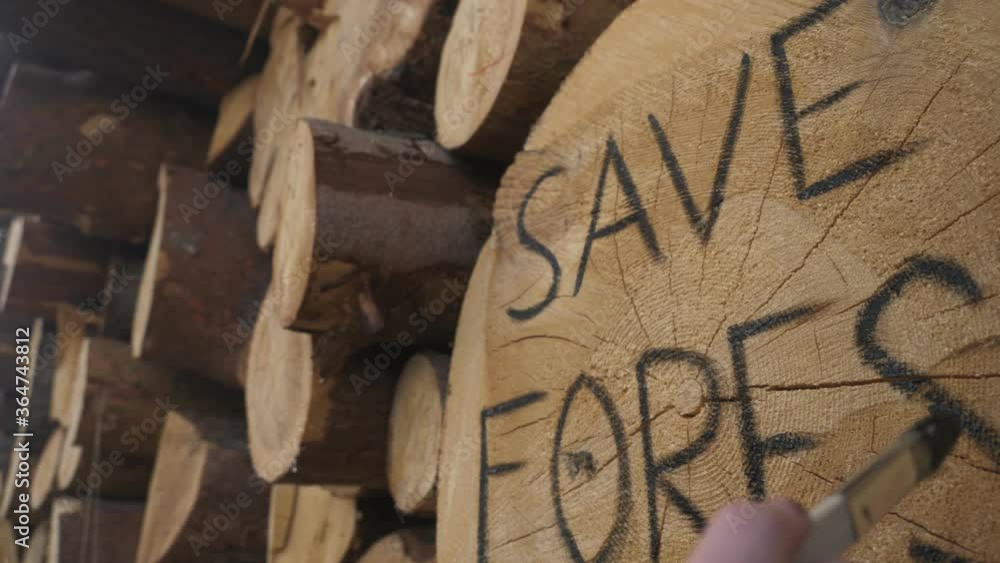 Environment protection concept. Plant growth. Earth day. Renewable ...