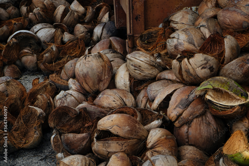 texture background image of coconut coir husk or shell, itis outer ...