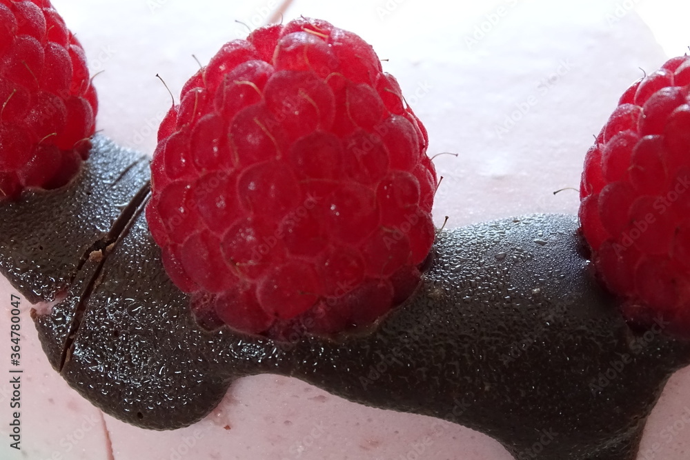 Himbeer-Schoko-Torte Stock Photo | Adobe Stock