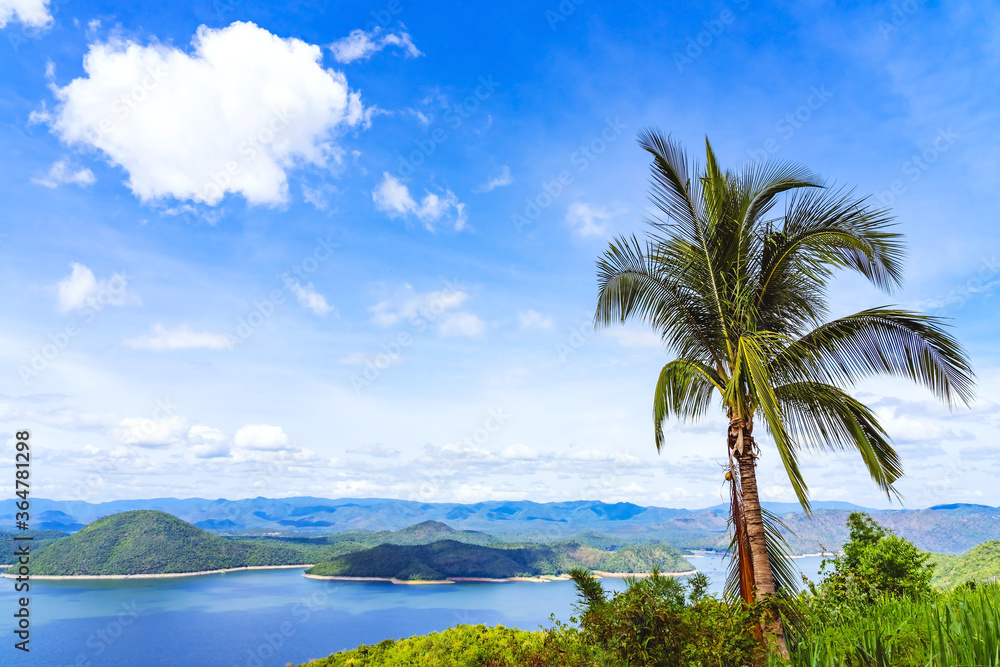 Coconut tree with a beautiful scenery views of nature with a large ...