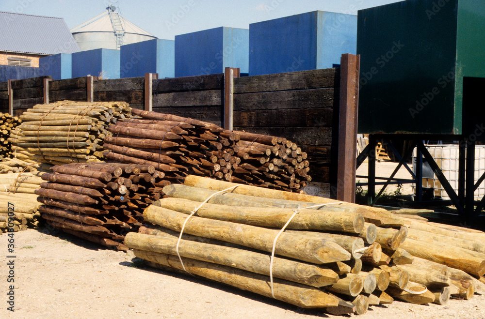Timber fence post cut and tied laying in piles in wood yard. Steel ...
