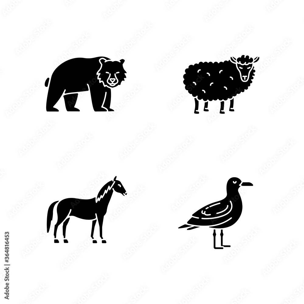 Domestic and wild animals black glyph icons set on white space. Bear ...