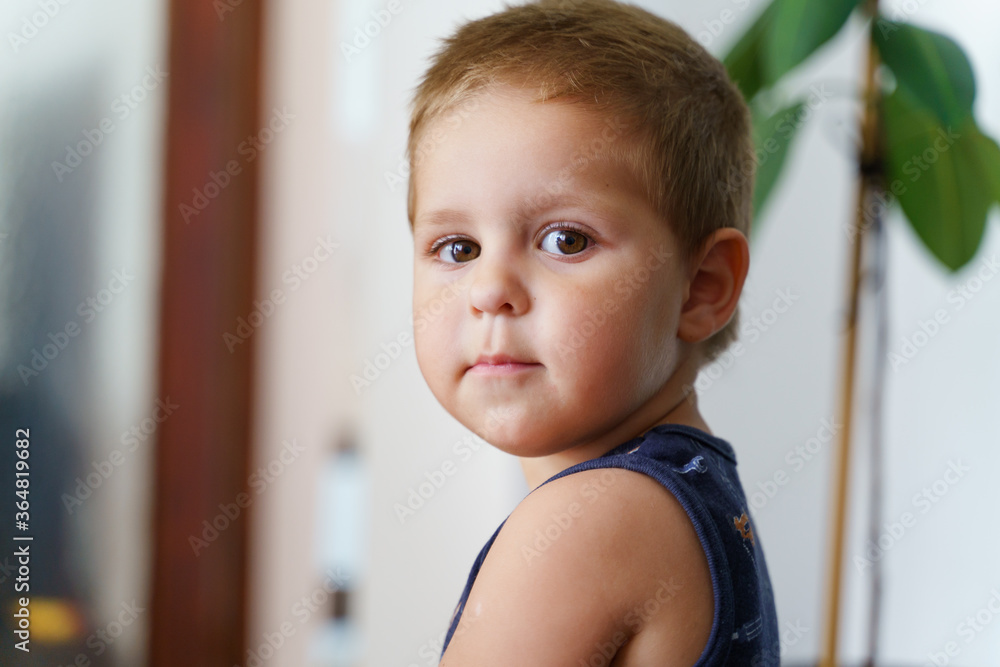 Portrait of small caucasian boy at home - little child two years old ...