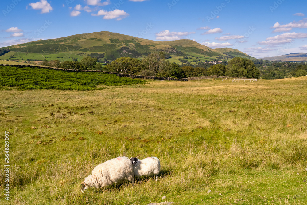The Howgill Fells are hills in Northern England between the Lake ...