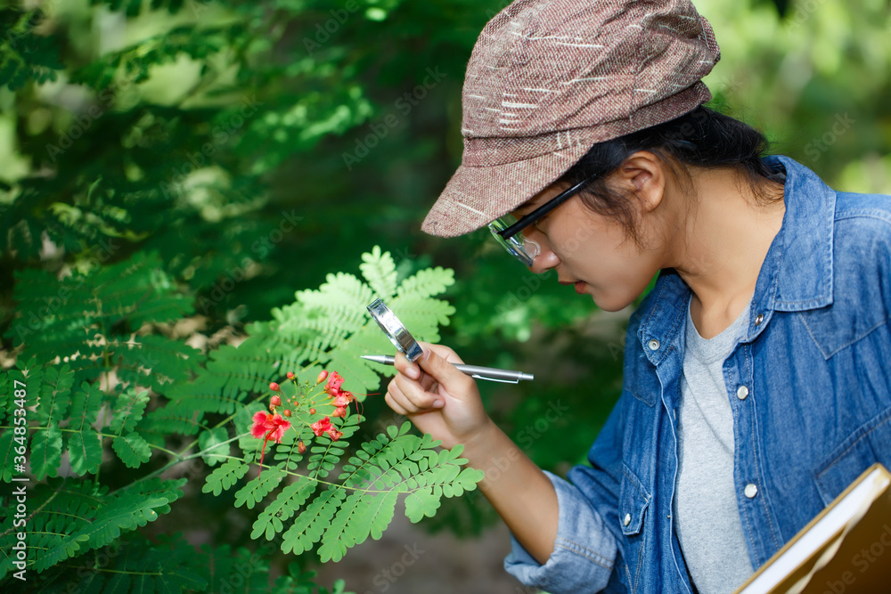 Female botanists look at flowers to study the changes caused by climate ...