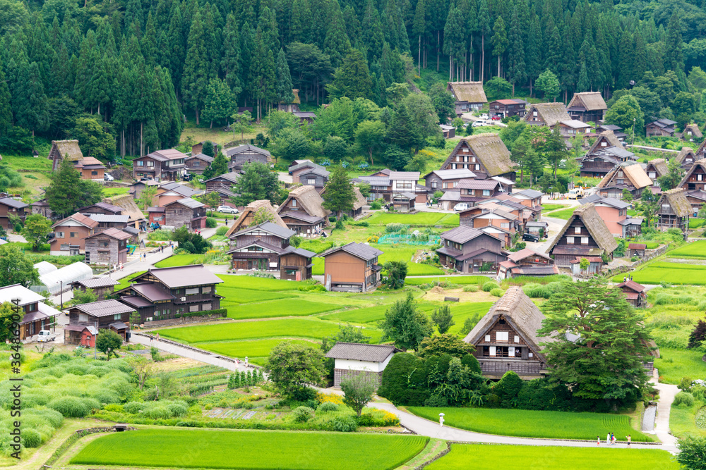 Gassho-zukuri houses at Ogimachi Village in Shirakawago, Gifu, Japan ...
