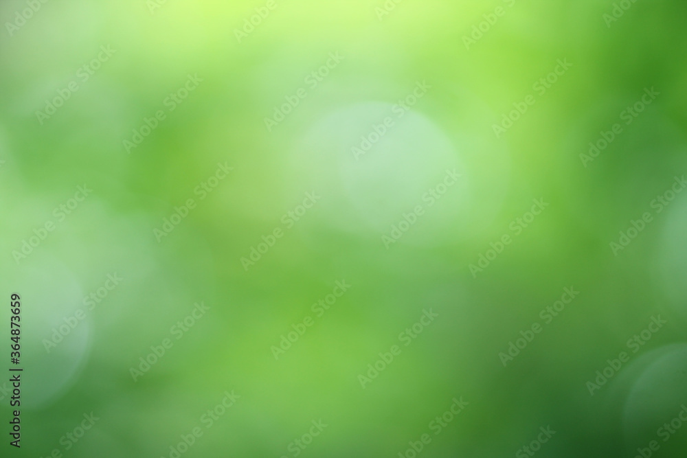 Spring bokeh nature abstract background Green leaves blurred, beautiful ...