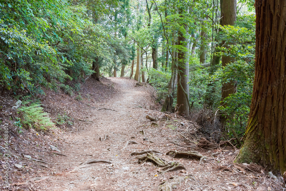 Approach to Atago Shrine on Mt. Atago in Kyoto, Japan. Atago Shrine is ...