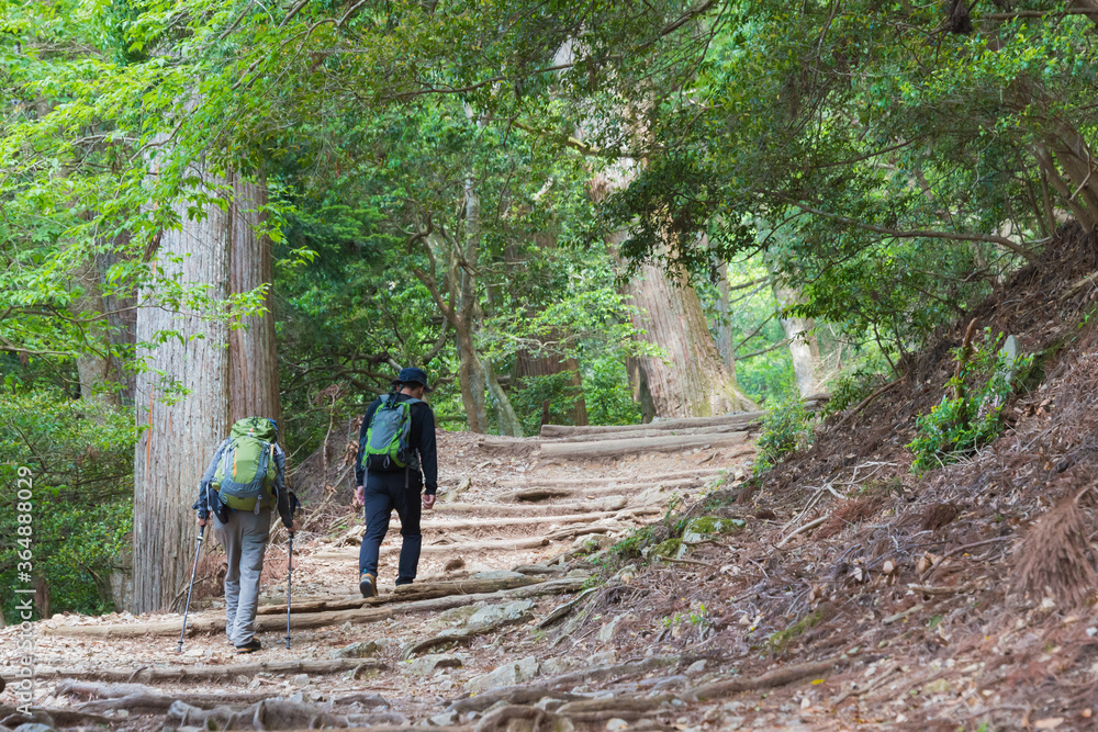 Approach to Atago Shrine on Mt. Atago in Kyoto, Japan. Atago Shrine is ...