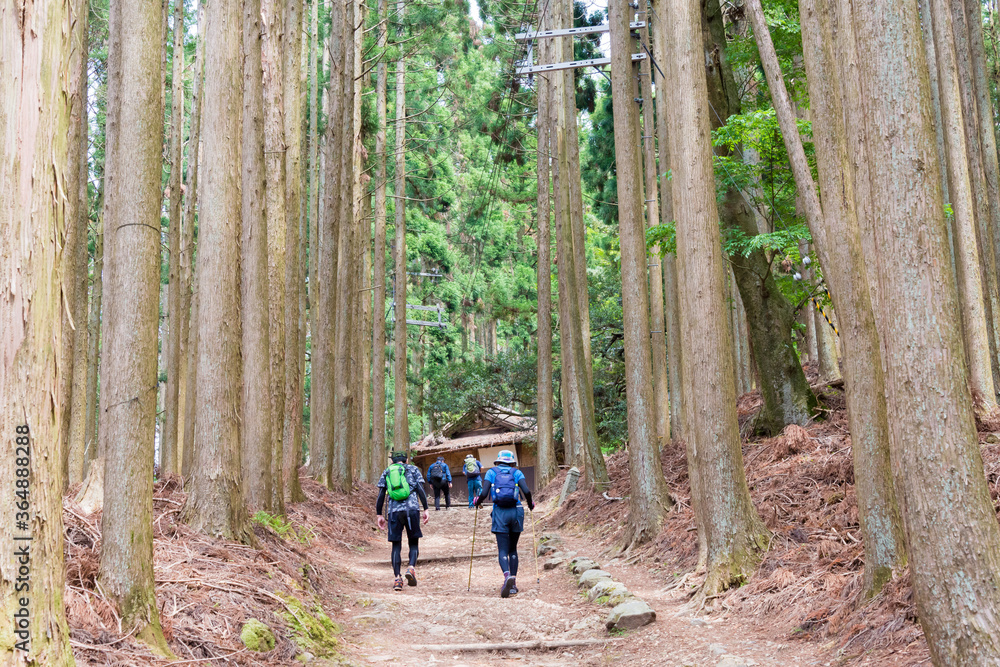 Approach to Atago Shrine on Mt. Atago in Kyoto, Japan. Atago Shrine is ...