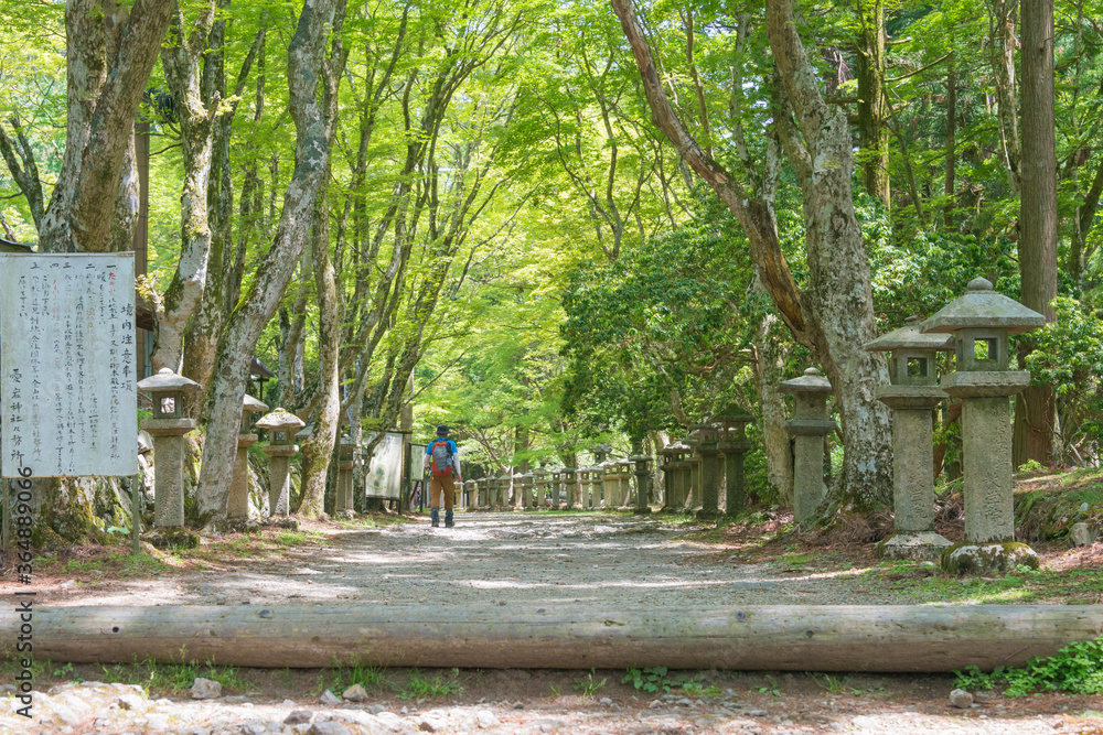 Approach to Atago Shrine on Mt. Atago in Kyoto, Japan. Atago Shrine is ...