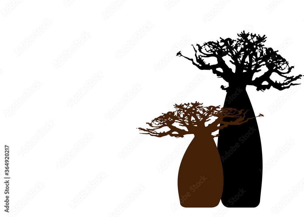 Boab or Baobab Tree background with copy space for your text, vector ...