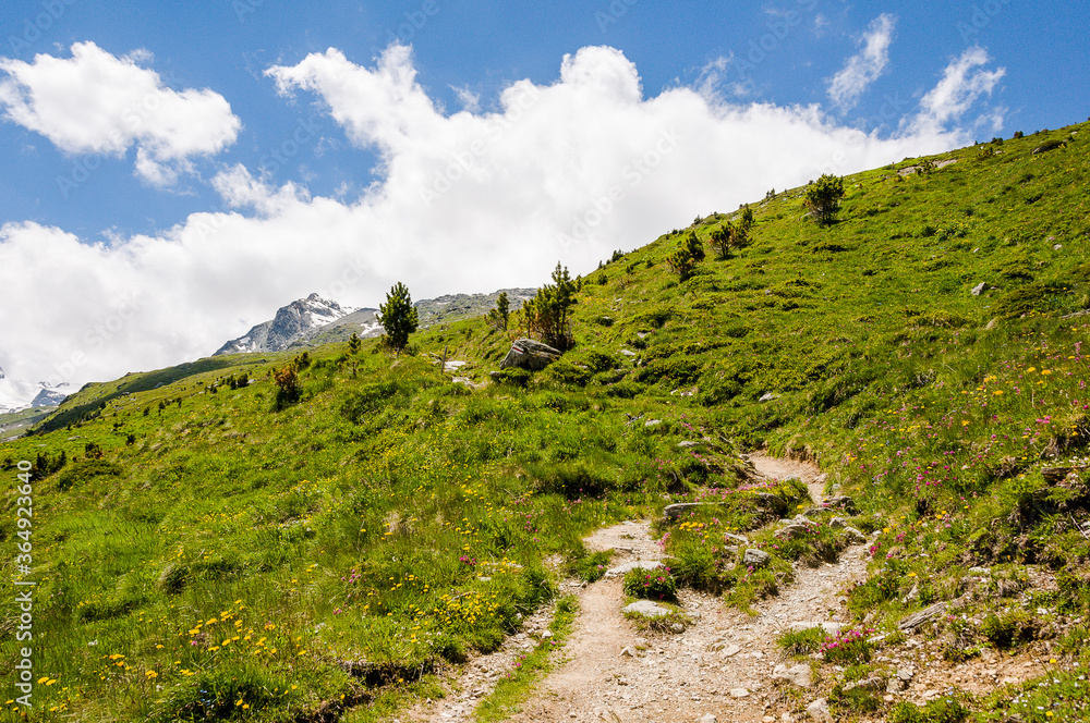 Val Roseg, Piz Roseg, Ova da Roseg, Rosegbach, Rosegtal, Hochtal ...