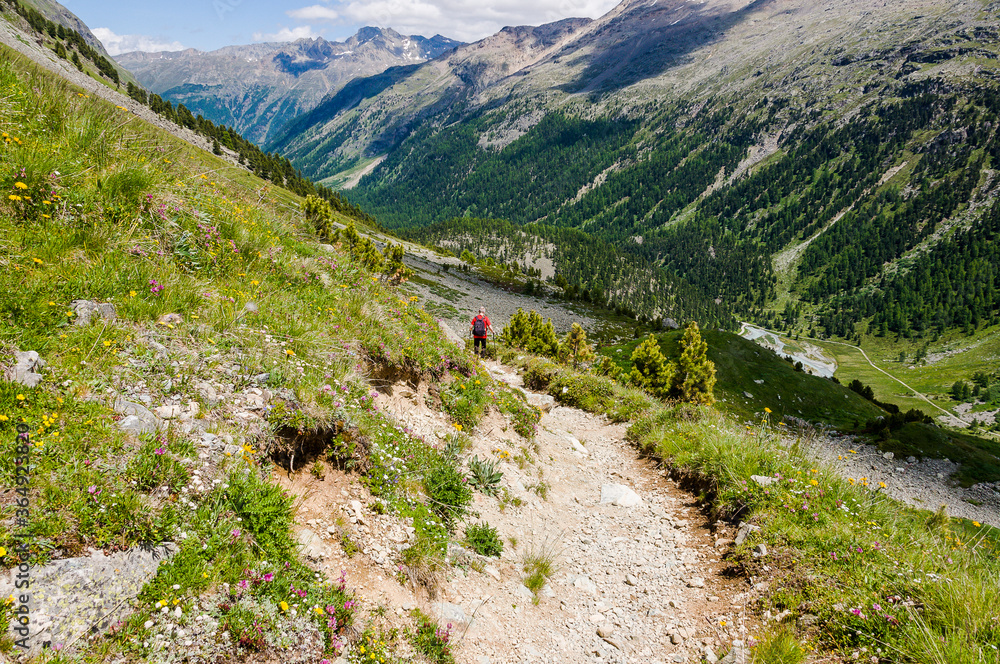 Val Roseg, Ova da Roseg, Rosegbach, Rosegtal, Hochtal, Wanderweg ...