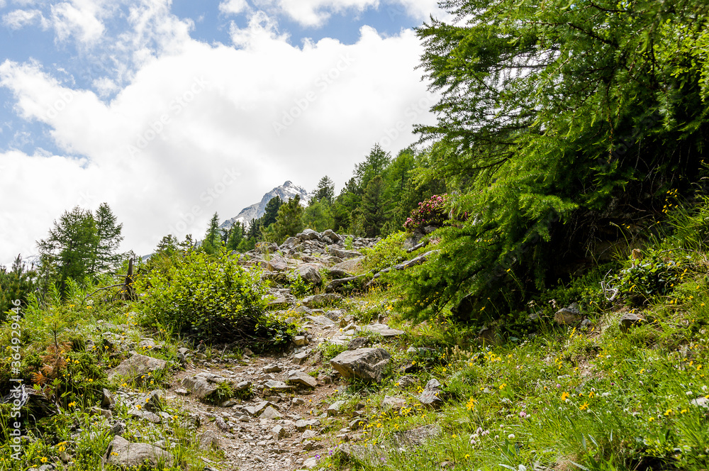 Val Roseg, Piz Roseg, Ova da Roseg, Rosegbach, Rosegtal, Hochtal ...