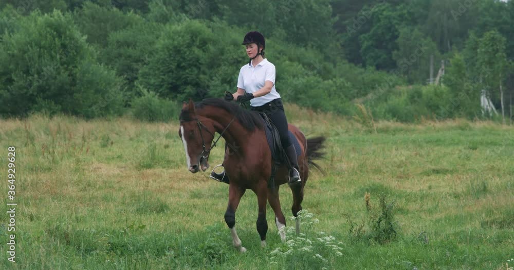 Woman rider on horseback riding in a clearing near the forest, horse ...