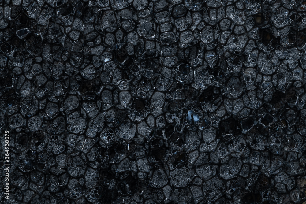 Household dishwashing sponge from reticulated foam, texture, background ...