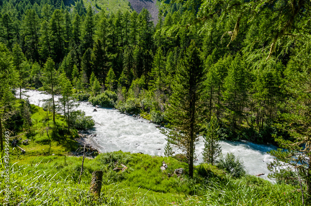 Val Roseg, Ova da Roseg, Rosegbach, Rosegtal, Wanderweg, Wald, Waldweg ...
