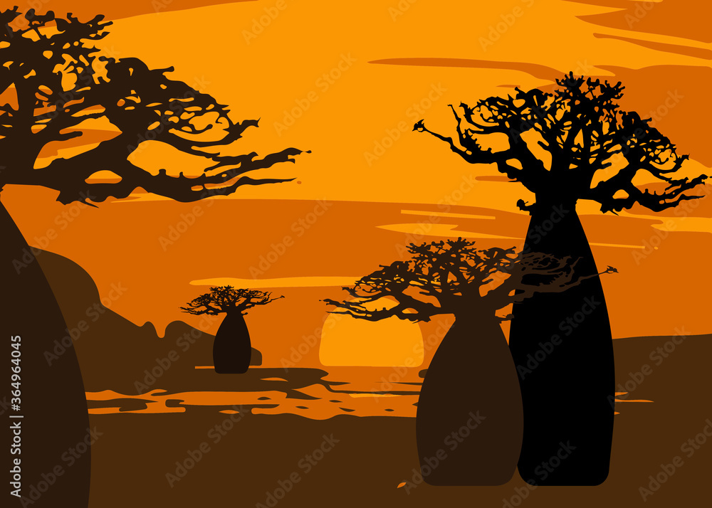 sunset with landscape of baobab trees. Forest of Boab or Baobab Tree ...