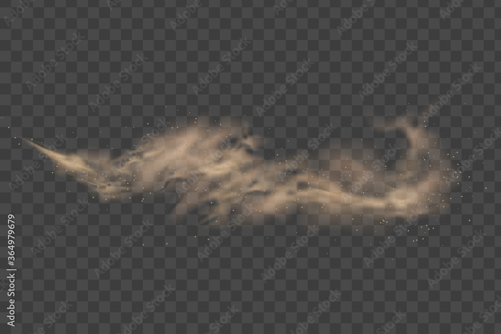 Dust cloud isolated on transparent background. Sand storm. Desert wind ...