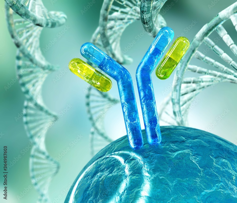 DNA antibody background,Immunoglobulins, Y-shaped protein produced ...