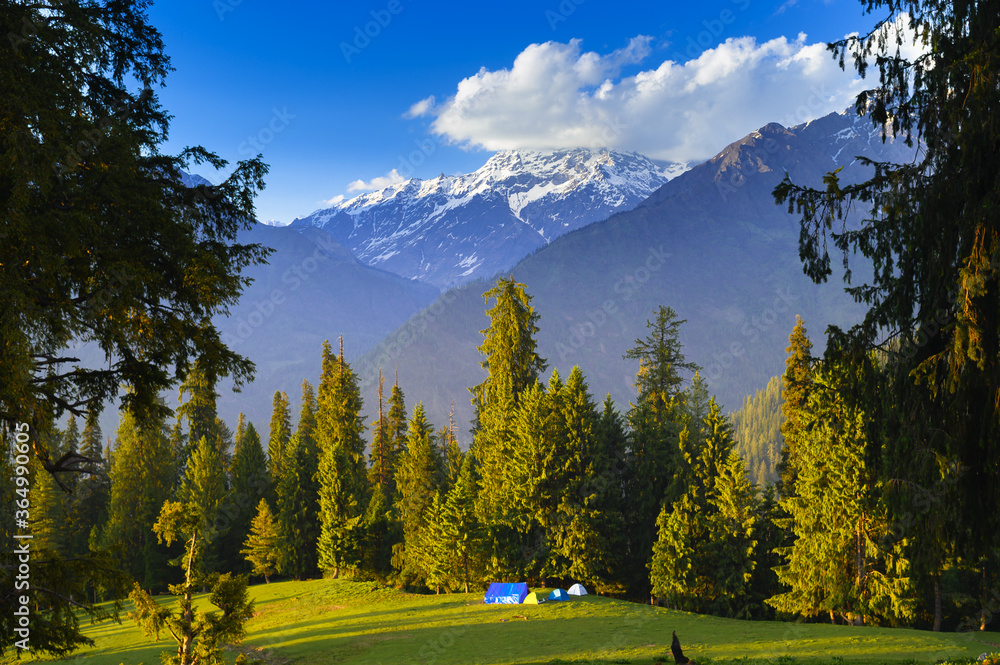 Mountain landscape with green grass. Scenic campingsite on meadows of ...